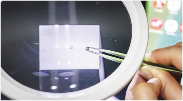 SK Telecom to Launch Hacking-proof Quantum Phone in April - Businesskorea