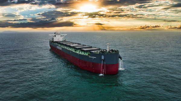 HMM Begins to Diversify Its Business by Taking over Large Bulk Carriers ...