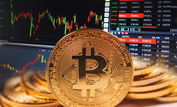 Domestic Virtual Assets Halve in H1 Compared to End of 2021 - Businesskorea